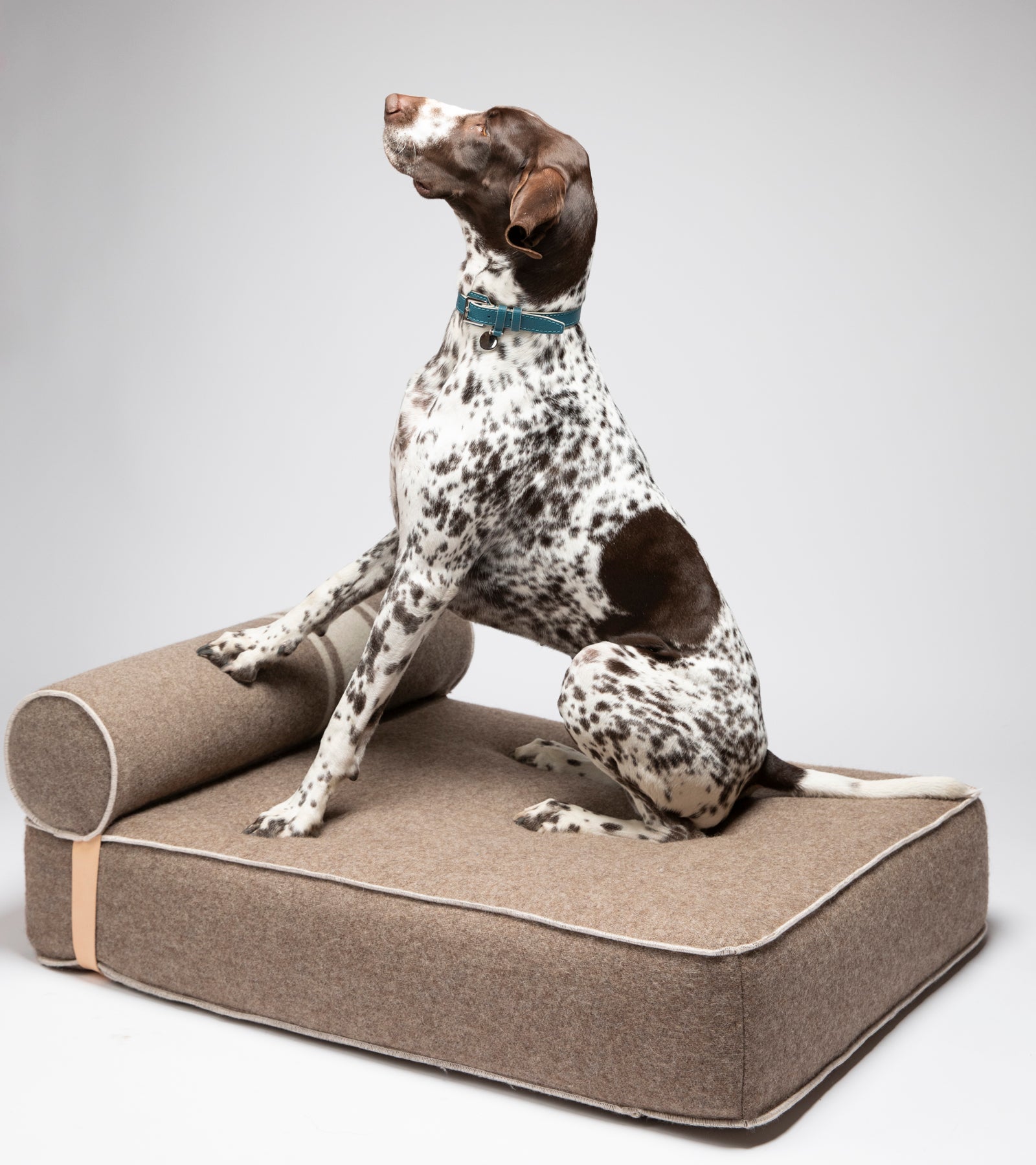Giampaolo – Memory Foam Bed for Dogs in Recycled Wool