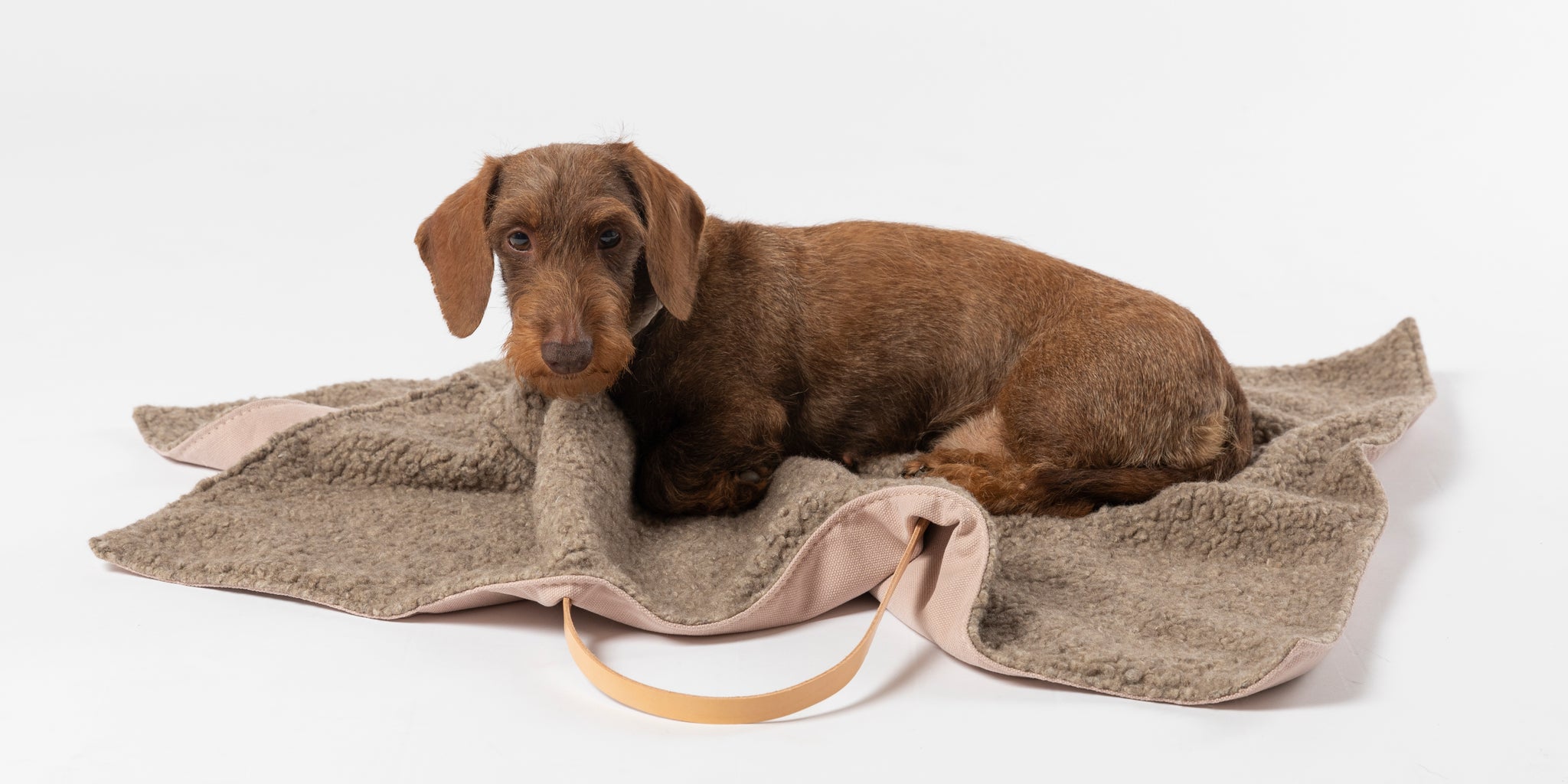 Cotton Canvas Dog Travel Mat — Steve | Foldable Portable Dog Mat ...