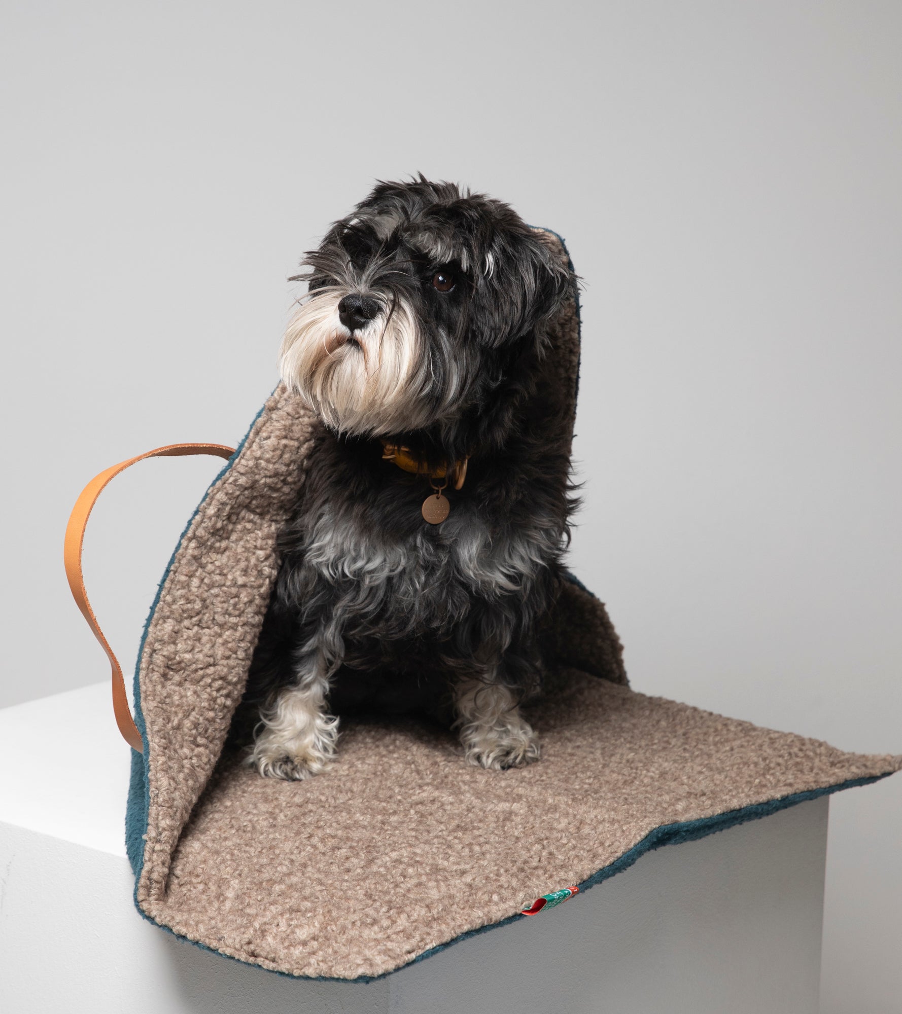 Casentino Wool Dog Travel Mat — Steve | Foldable Portable Dog Mat ...